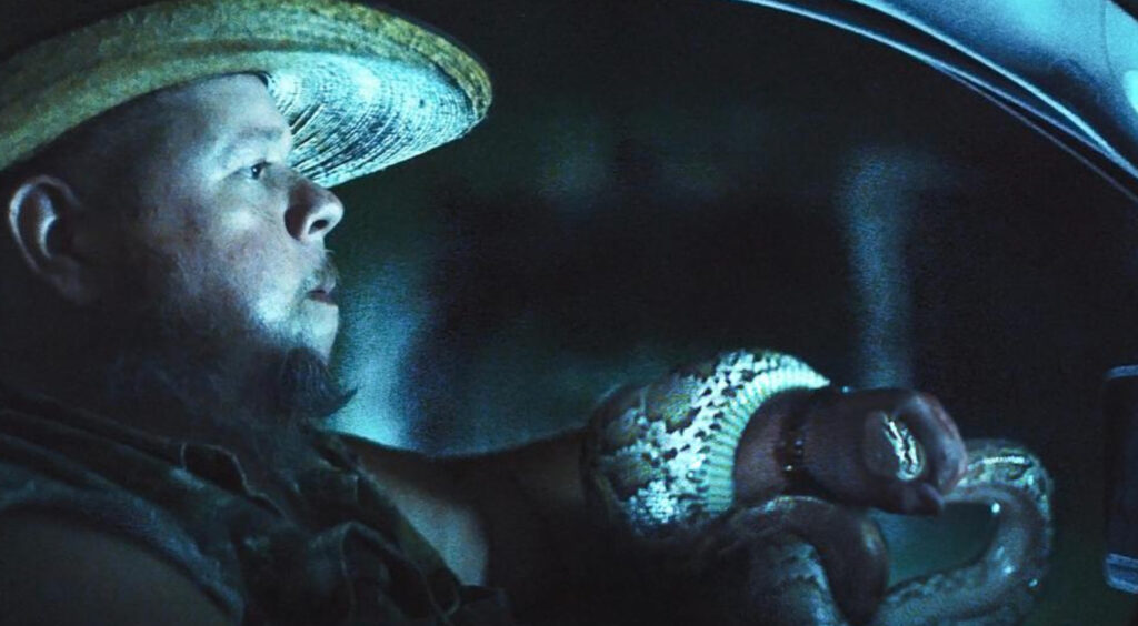 Tutti a caccia di serpenti nel trailer di ‘The Python Hunt ...